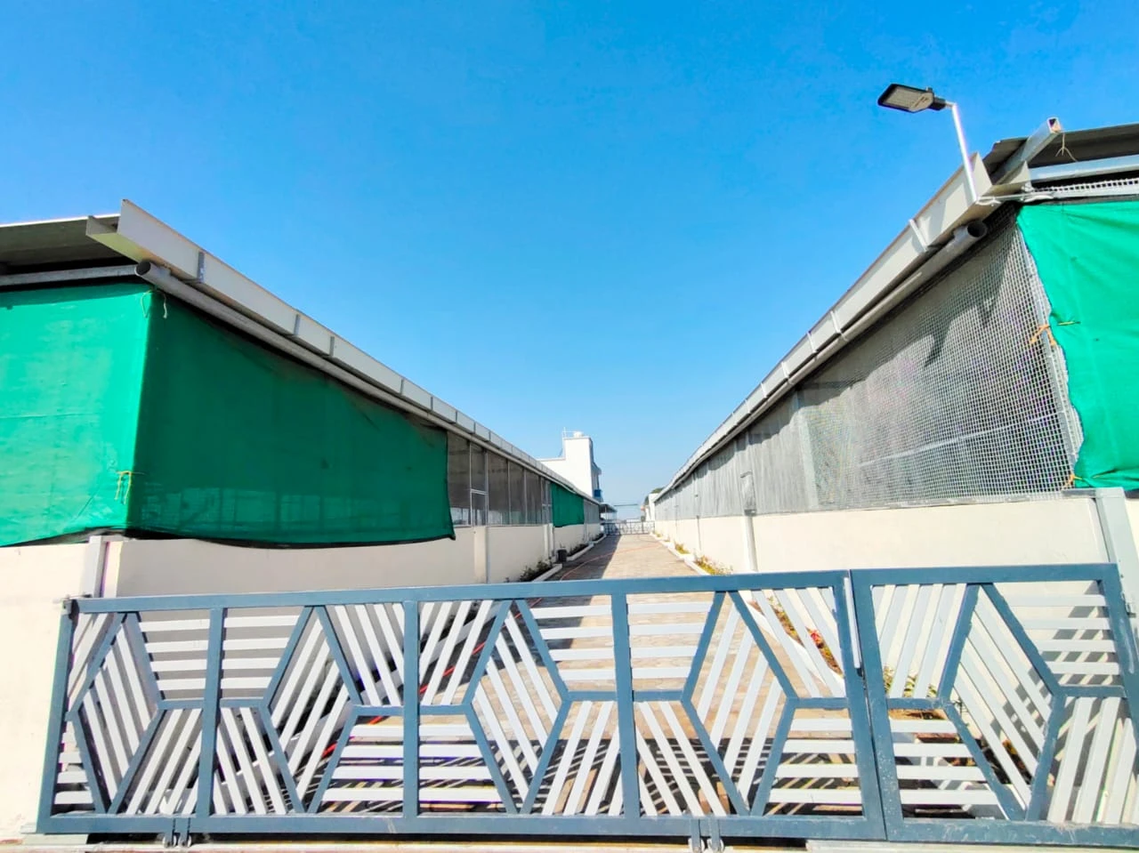 Prerna Foundation - Wildlife Rescue & Environmental Care | BA Prerna